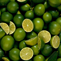 Today's Lime Price in Sri Lanka - Information Hub