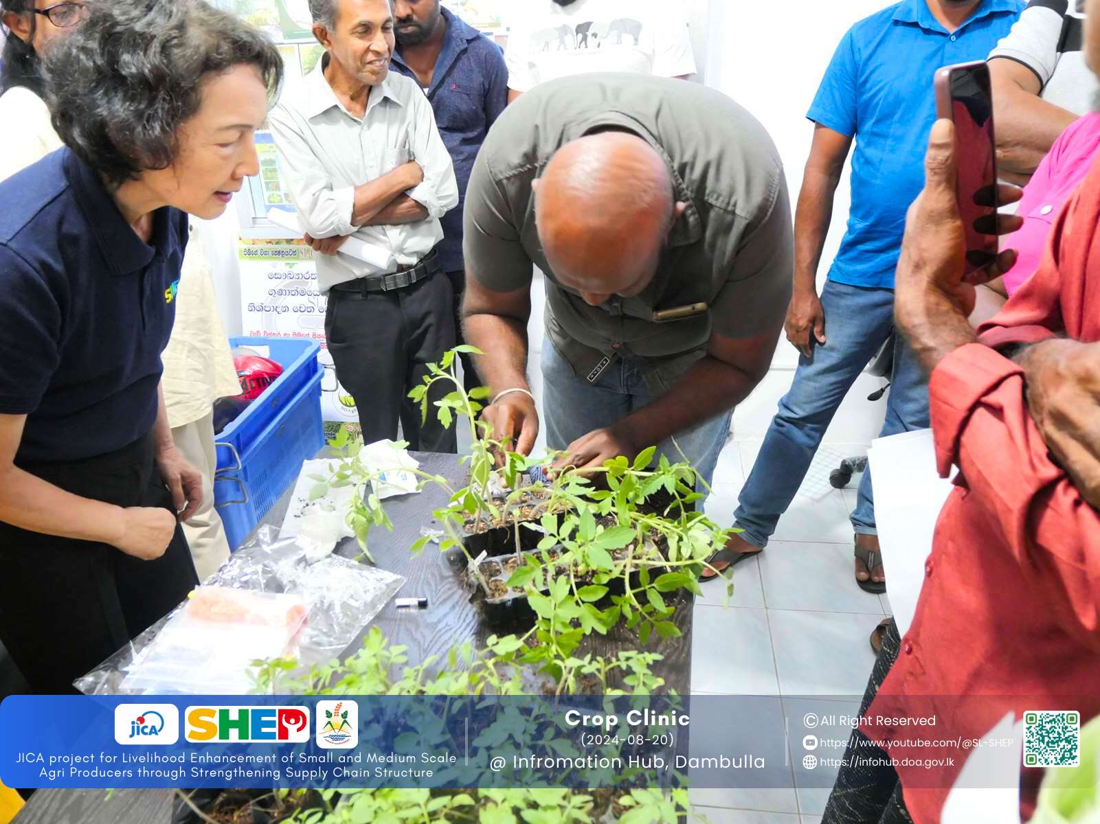 Crop Clinic - Information Hub