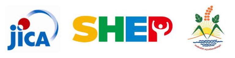 Home - Information Hub