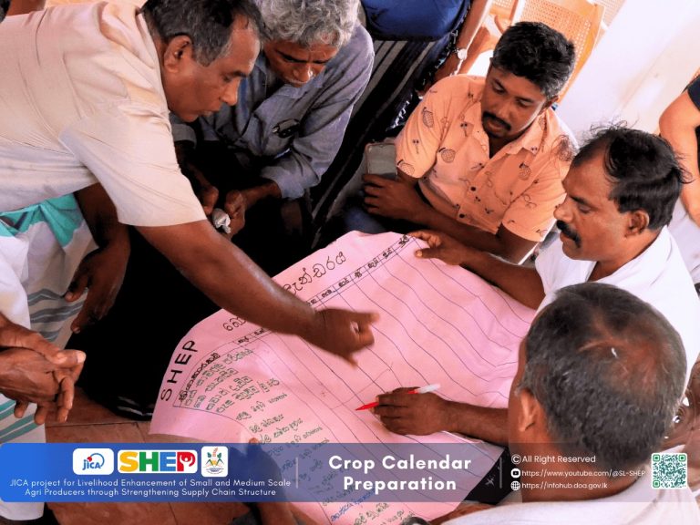 Empowering Farmers: The Four Essential Steps of SHEP approach ...