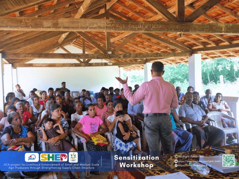 Empowering Farmers: The Four Essential Steps of SHEP approach ...