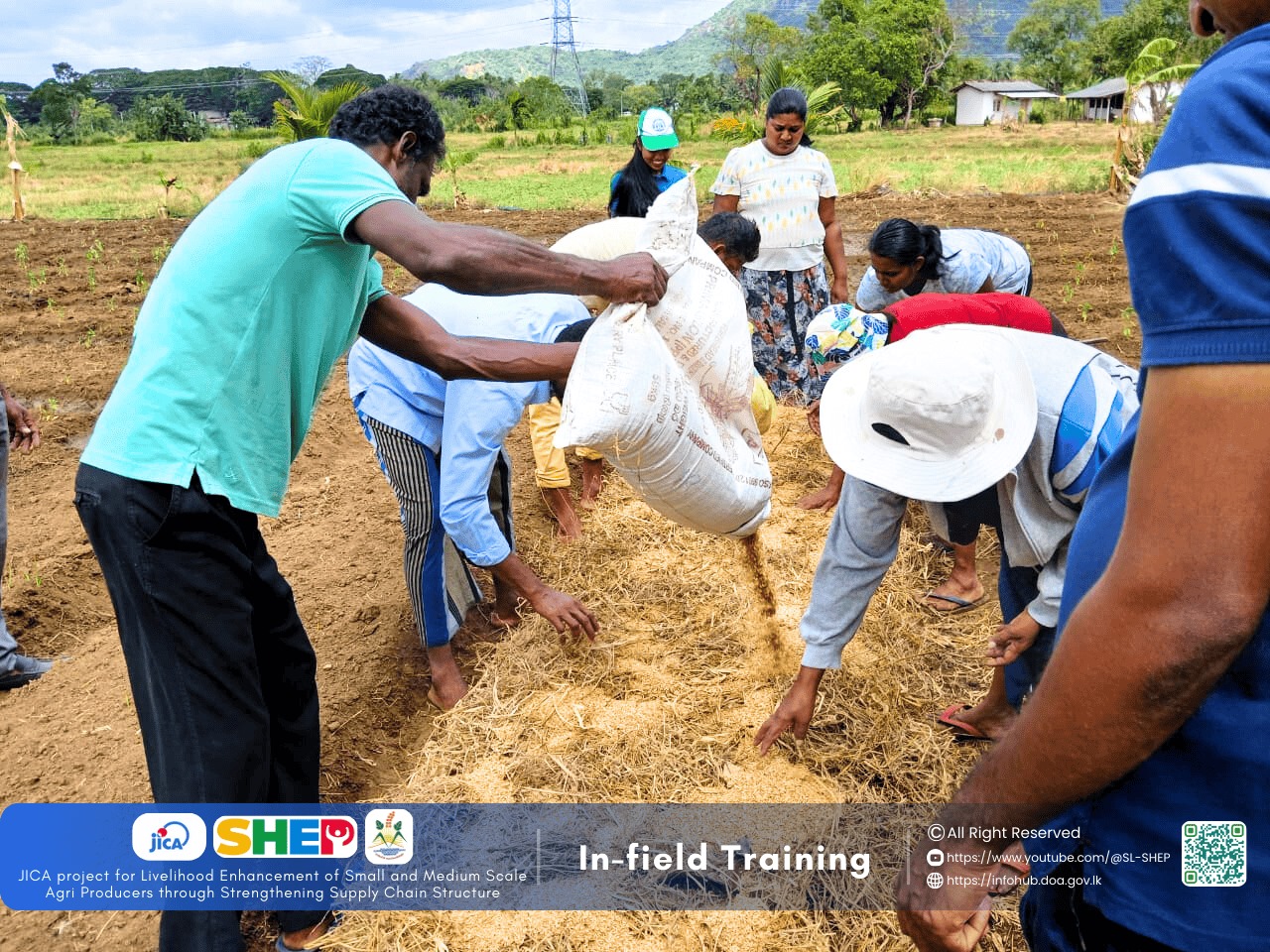 SHEP Approach - Information Hub