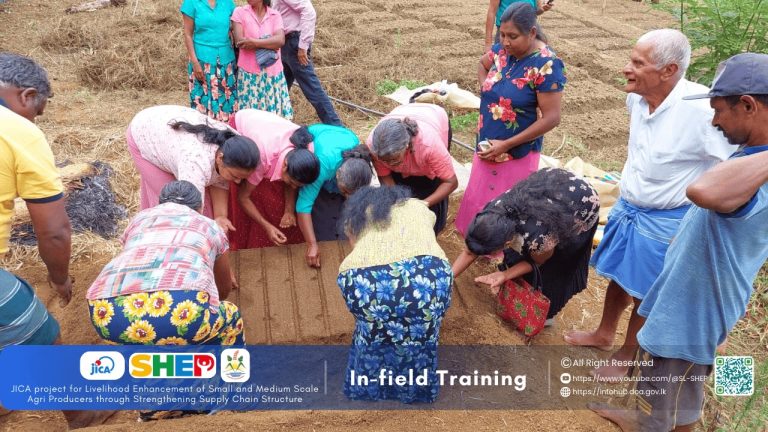 Empowering Farmers: The Four Essential Steps of SHEP approach ...