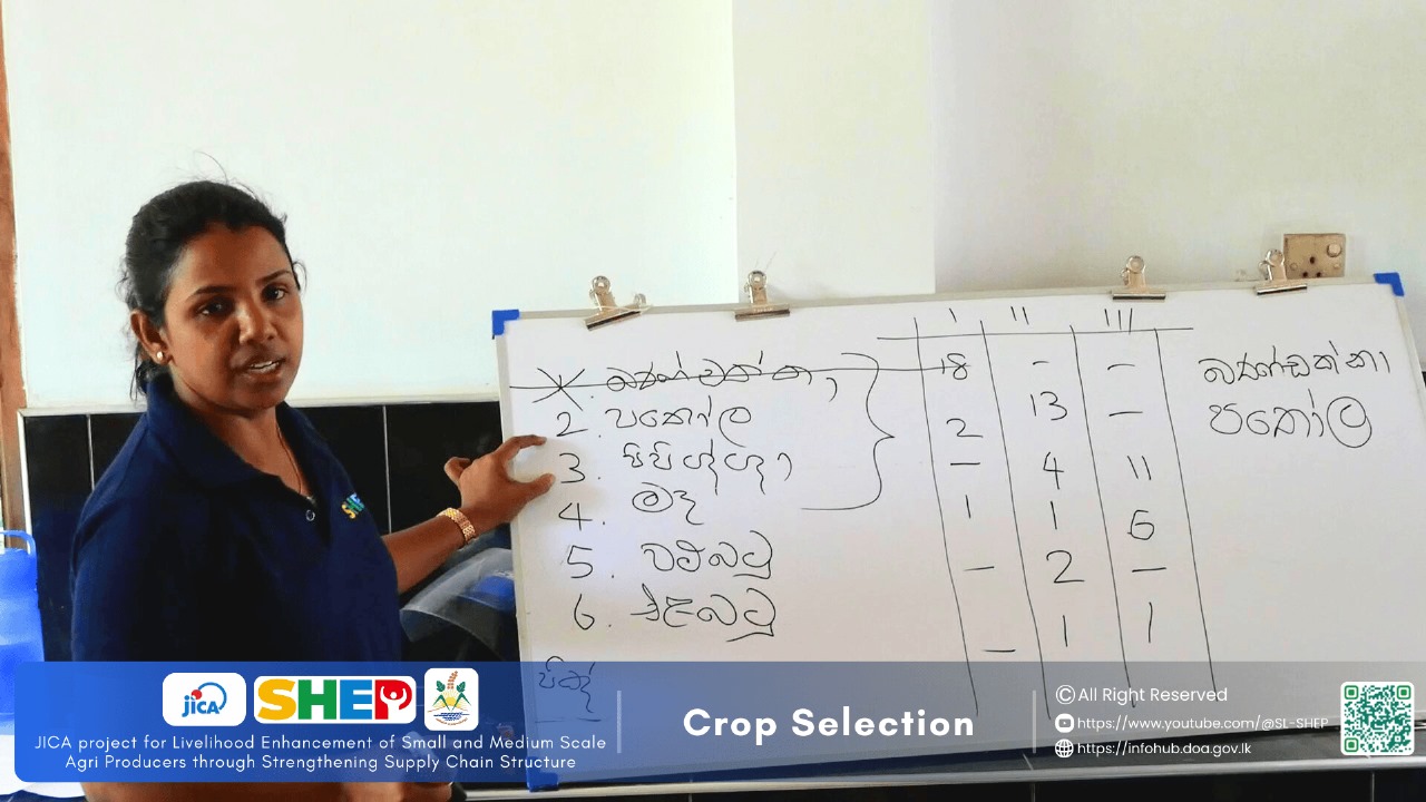 Empowering Farmers: The Four Essential Steps of SHEP approach ...